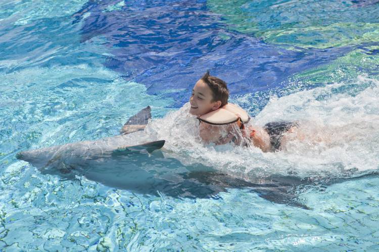 Family Fun in the Sun: Kid-Friendly Activities in Punta Mita | Above ...